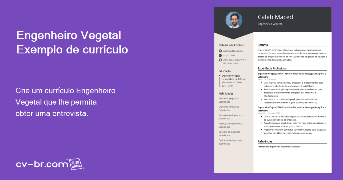 Exemplos de currículos de Engenheiro Vegetal (modelo e mais de 20 dicas)